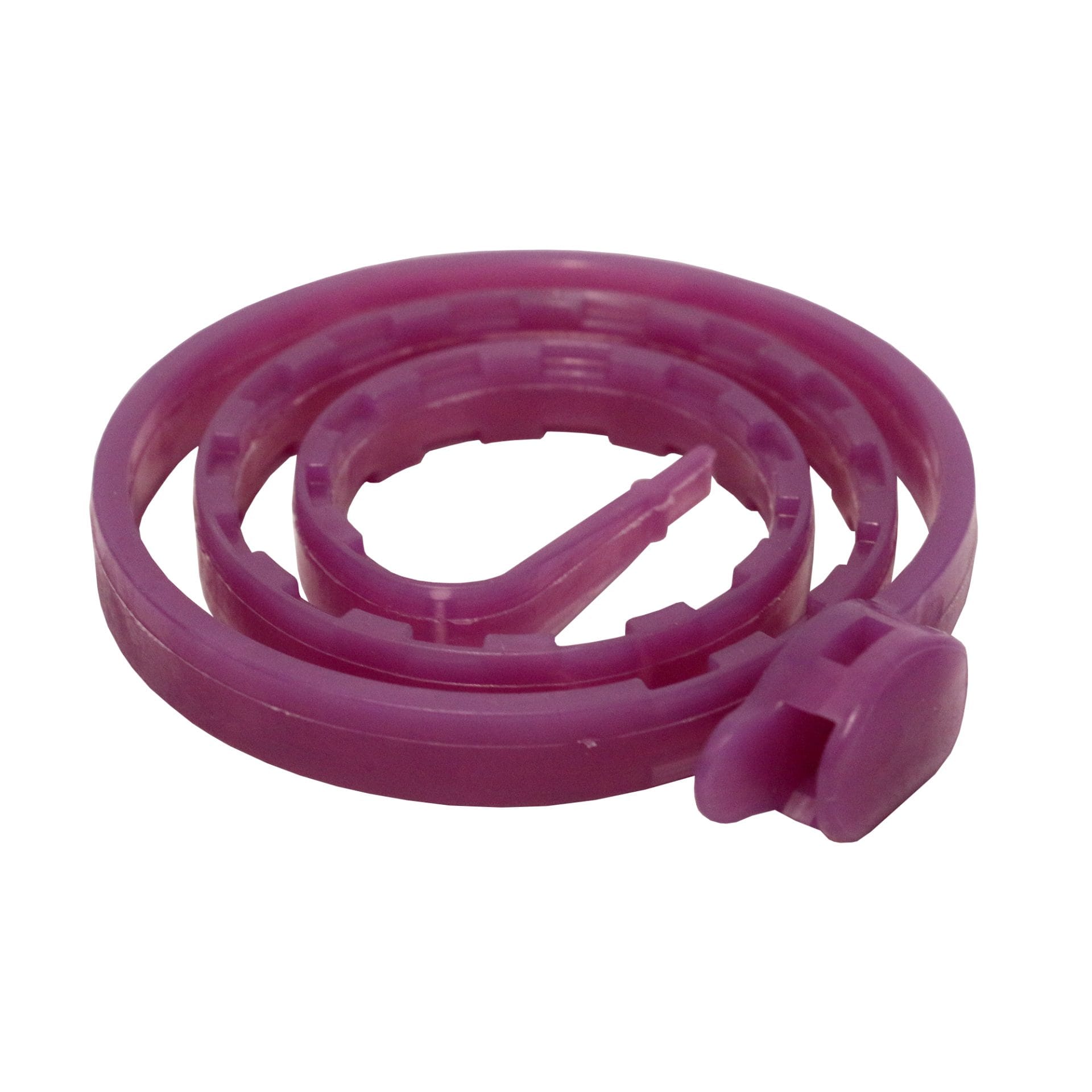 Calming Collar for Dogs - Pet Accessories | Pet Shop Helensburgh Ltd ...